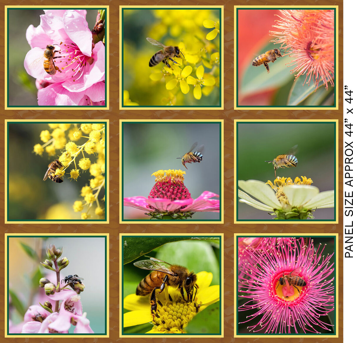 A Australian Bees Block Collage Honeycomb Harmony (4086) - KK Fabrics