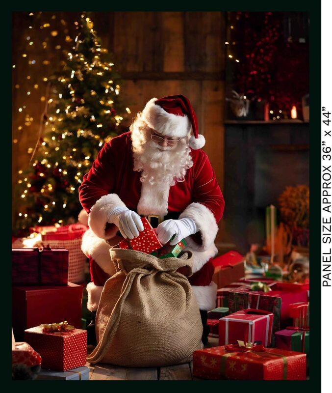 A 36 Inch Santa Panel Santa in Oz (4107) - KK Fabrics